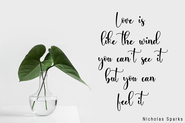 Ayalda Script, Fonts | GraphicRiver