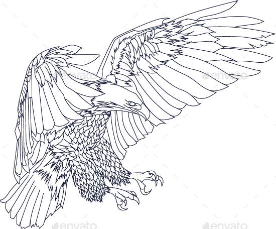 Garuda Fighter Sacred Geometry, Vectors | GraphicRiver