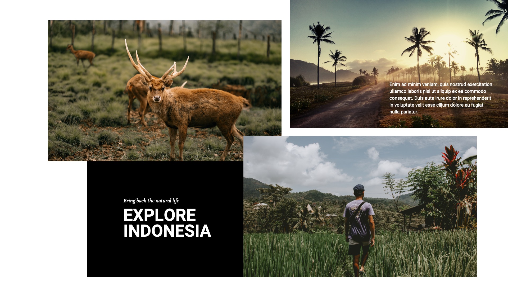 Nature Indonesia Powerpoint Template, Presentation Templates | GraphicRiver