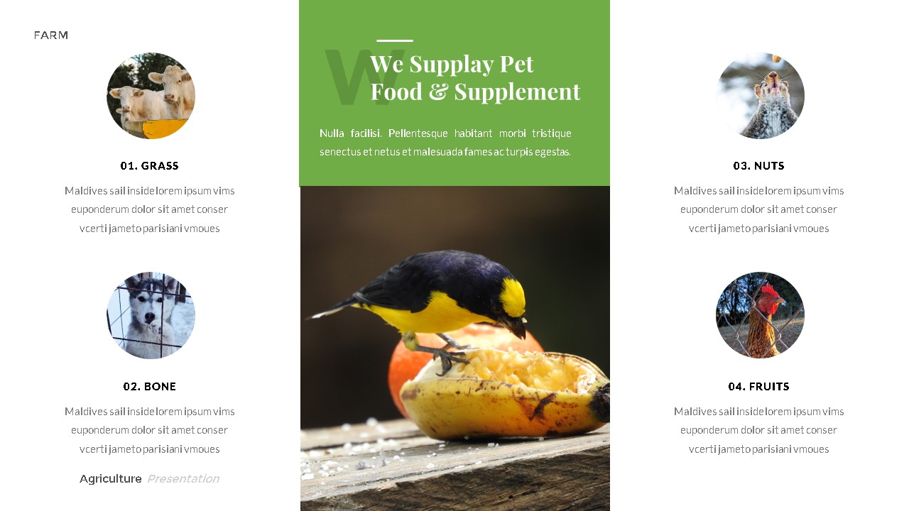 Farm-Agriculture Google Slide Template, Presentation Templates ...