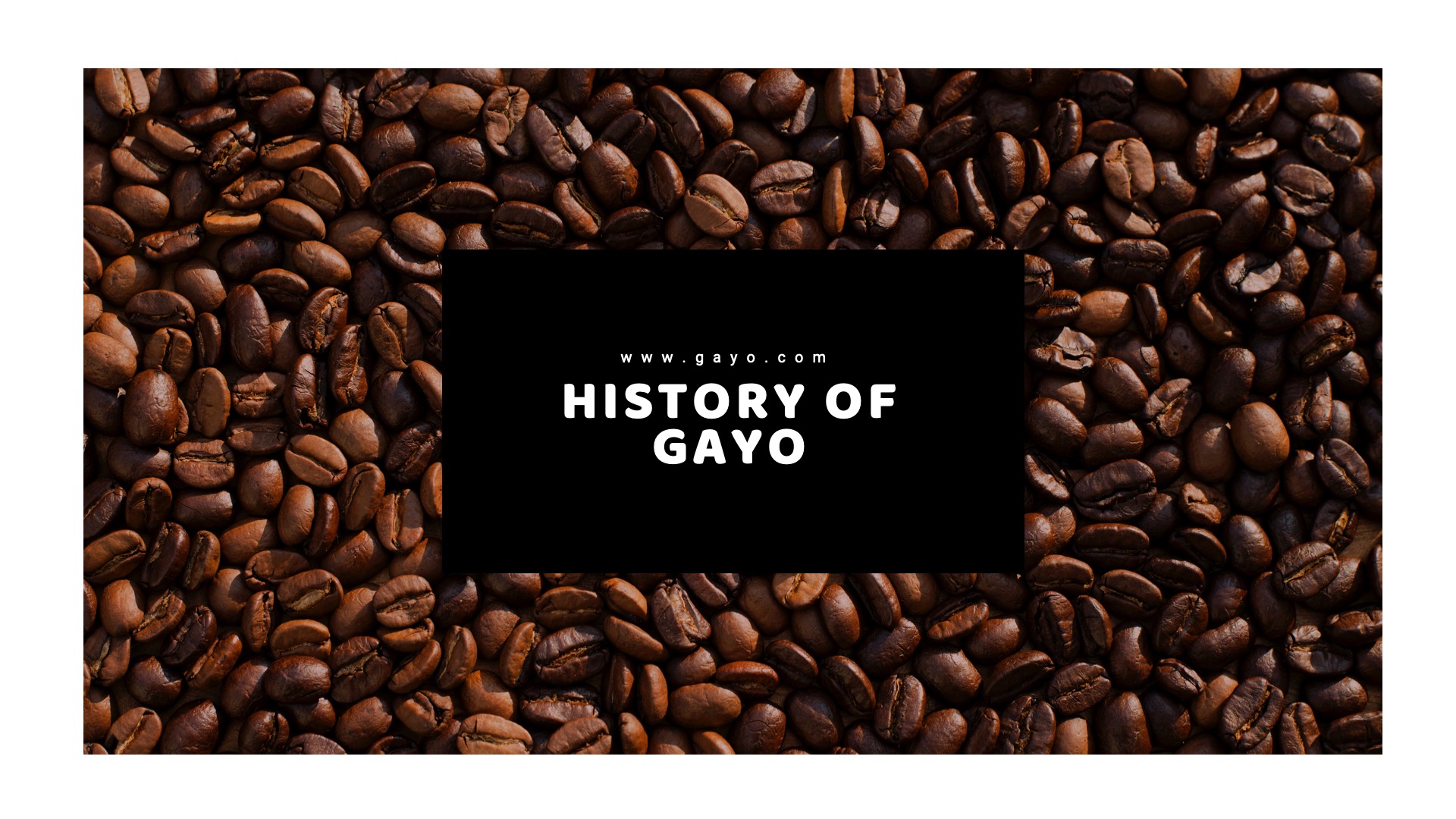 Gayo Coffee Powerpoint Template, Presentation Templates | GraphicRiver