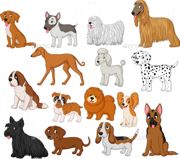 Set of Cartoon Dogs, Vectors | GraphicRiver