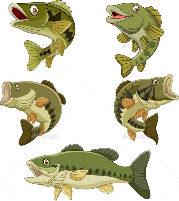 Set of Cartoon Bass Fishes, Vectors | GraphicRiver