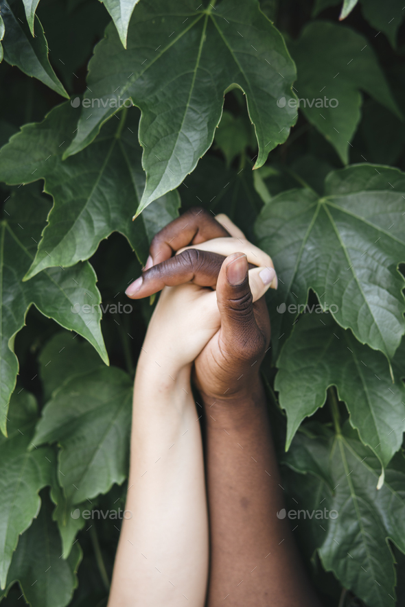 mixed race hands holding each other in nature Stock Photo by jpozzi