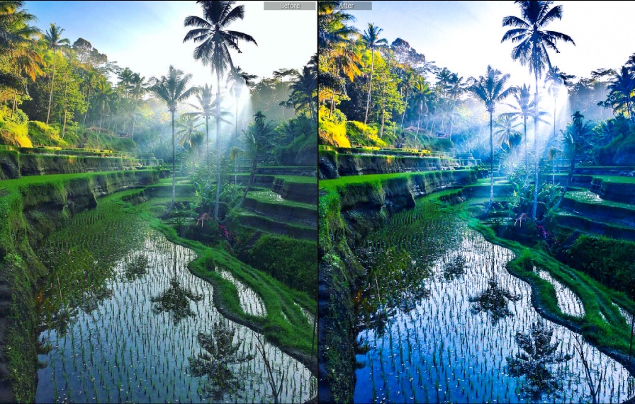 Outdoor Lightroom Presets, Add-ons | GraphicRiver