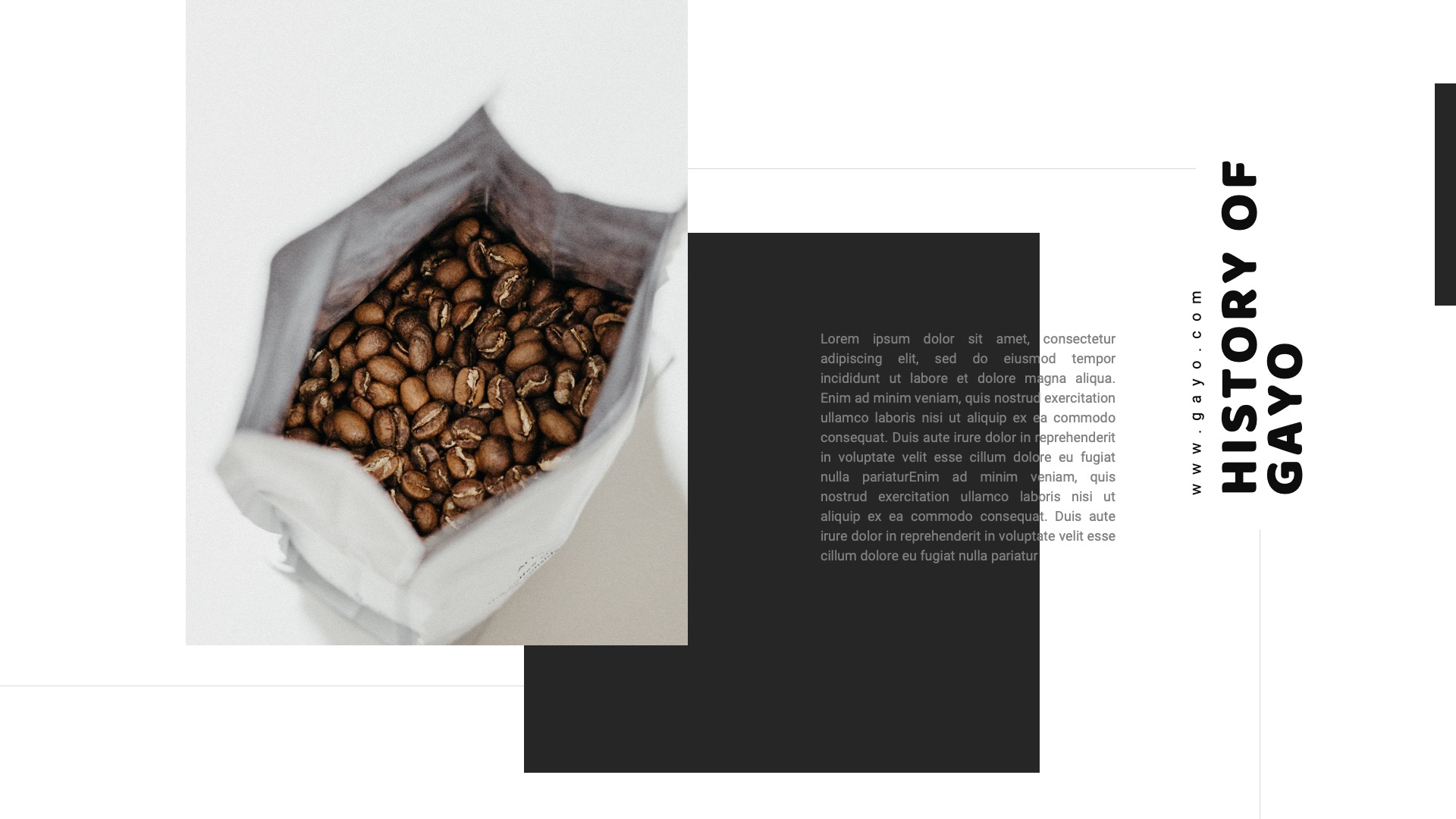 Gayo Coffee Google Slides Template, Presentation Templates | GraphicRiver