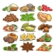 Vector Set of Indian Spices, Vectors | GraphicRiver