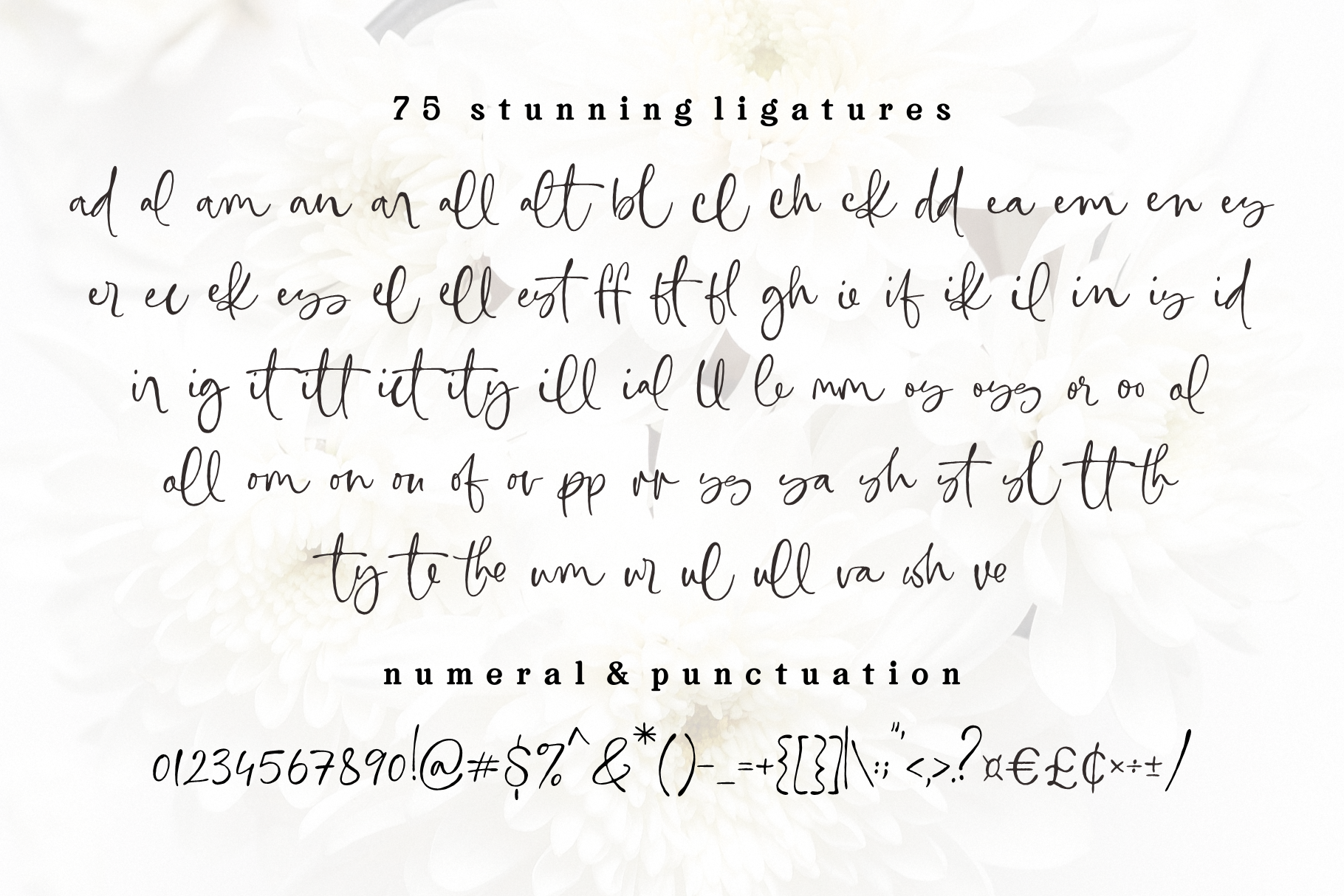 Fleur Marche | a Handwritten Script, Fonts | GraphicRiver