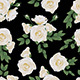 Seamless Pattern with White Rose Flower, Vectors | GraphicRiver