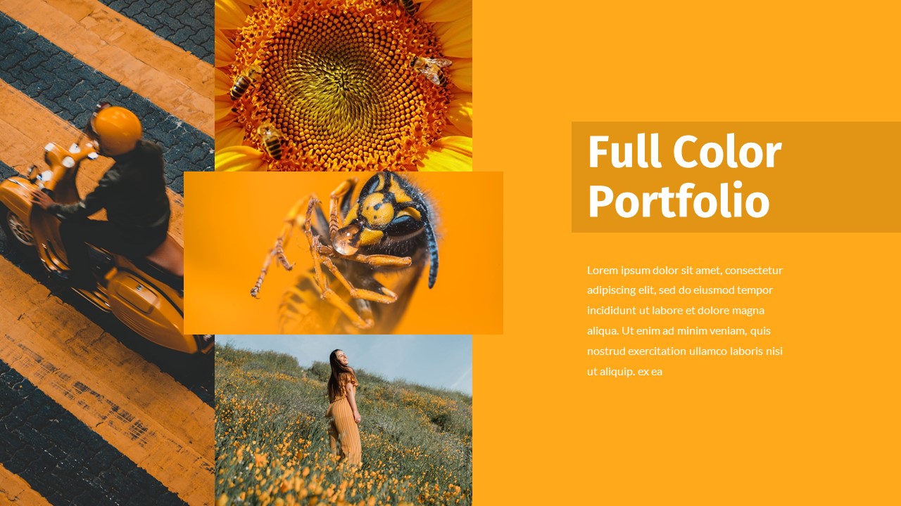 Full Color - Multipurpose Google Slide Template, Presentation Templates