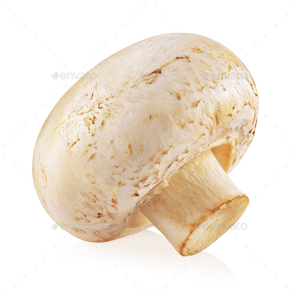 Champignon mushroom isolated on white background Stock Photo by Ha4ipuri