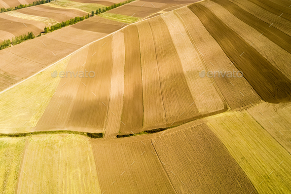 farmland texture background in autumn Stock Photo by chuyu2014 | PhotoDune