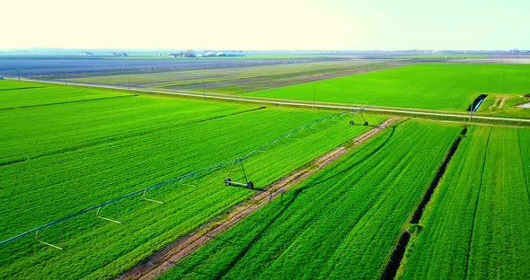 Green Sprouting Terrain Plots with Ground Strips and Road, Stock Footage