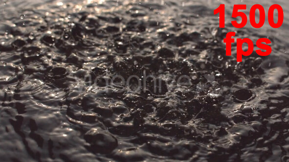Rain, Stock Footage | VideoHive