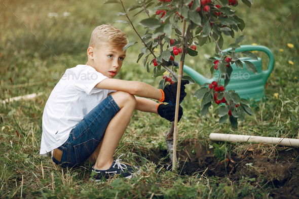 Cute little boy planting a tree on a park Stock Photo by prostooleh