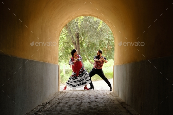 Couple Dancing Flamenco Stock Photo by diego_cervo | PhotoDune