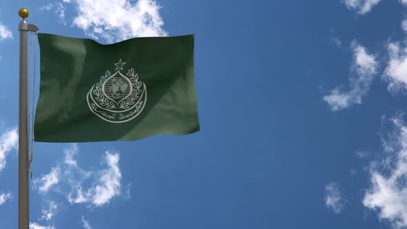 Sindh Flag (Pakistan) On Flagpole, Motion Graphics | VideoHive