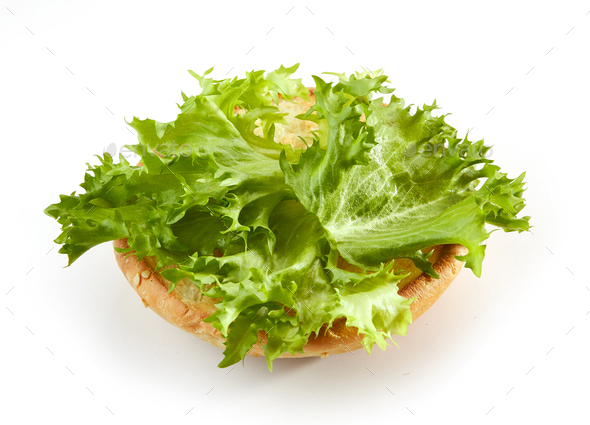 burger bread with lettuce Stock Photo by magone | PhotoDune