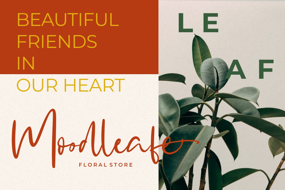 Signtype - Modern Script, Fonts | GraphicRiver