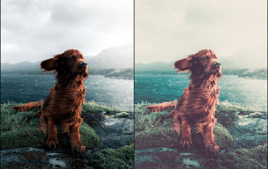 Ultra Moody Lightroom Presets by GraphicTweed | GraphicRiver