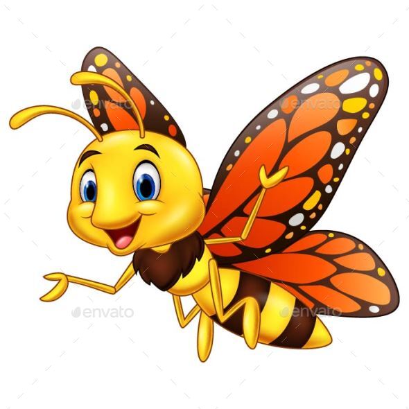 Butterfly Cartoon, Vectors | GraphicRiver