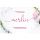 Merlin Script, Fonts | GraphicRiver