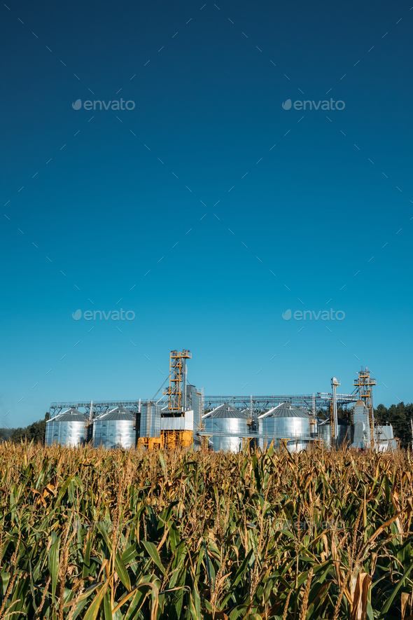 Modern Granary, Grain-drying Complex, Commercial Grain Or Seed S Stock ...