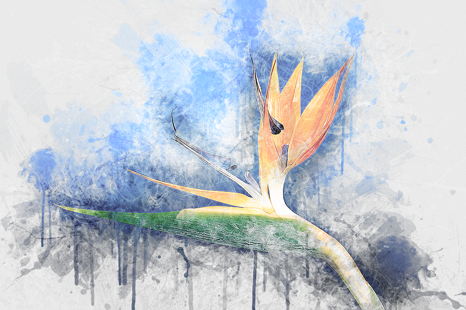 Photoshop Action Bundle, Add-ons | GraphicRiver