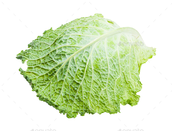 single green leaf of savoy cabbage isolated Stock Photo by vvoennyy
