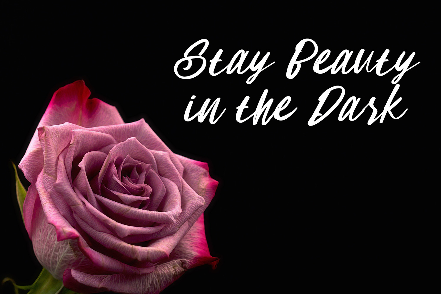 Sam Lonica Handwritten Script Font, Fonts | GraphicRiver