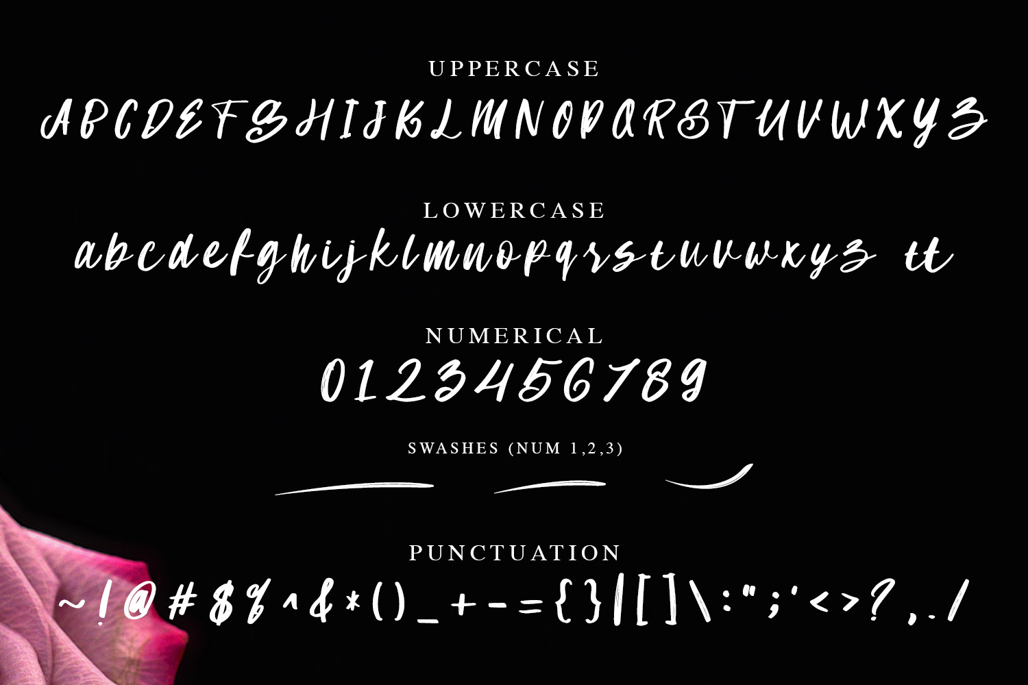 Sam Lonica Handwritten Script Font, Fonts | GraphicRiver