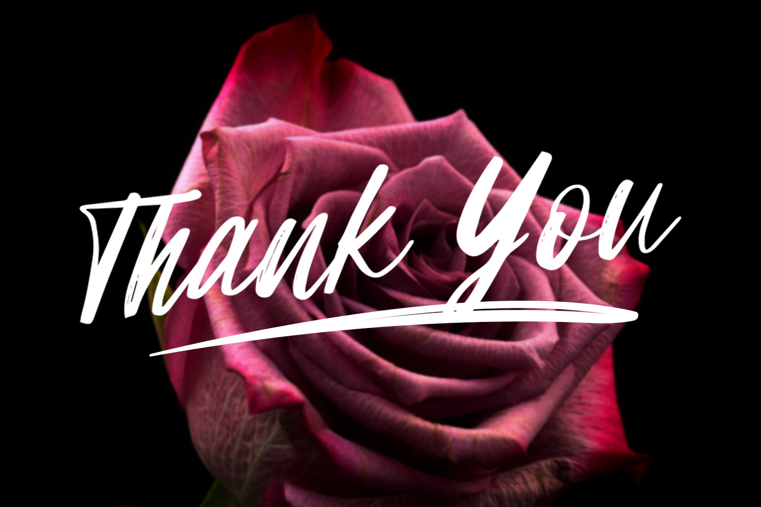 Sam Lonica Handwritten Script Font, Fonts | GraphicRiver