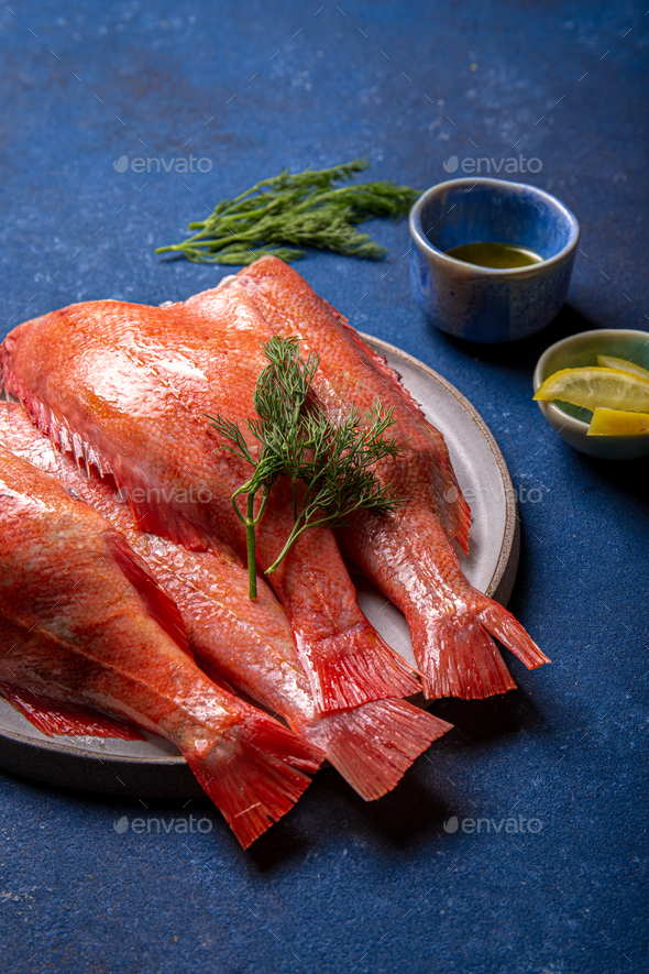 Fresh red sea bass on blue background. Stock Photo by lblinova | PhotoDune