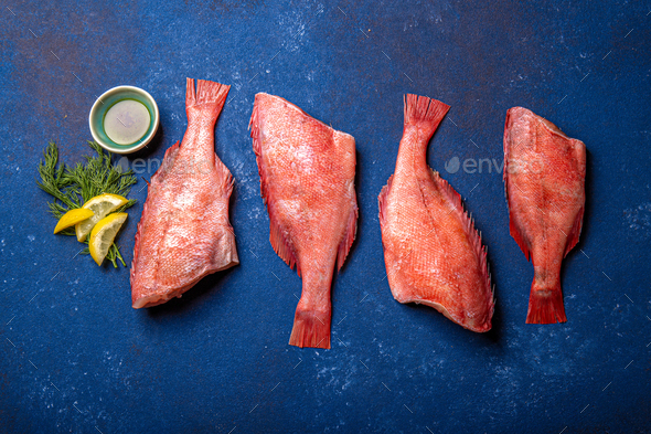 Fresh red sea bass on blue background. Stock Photo by lblinova | PhotoDune