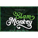 Slam Monkey, Fonts | GraphicRiver