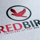 Red Bird Logo, Logo Templates | GraphicRiver