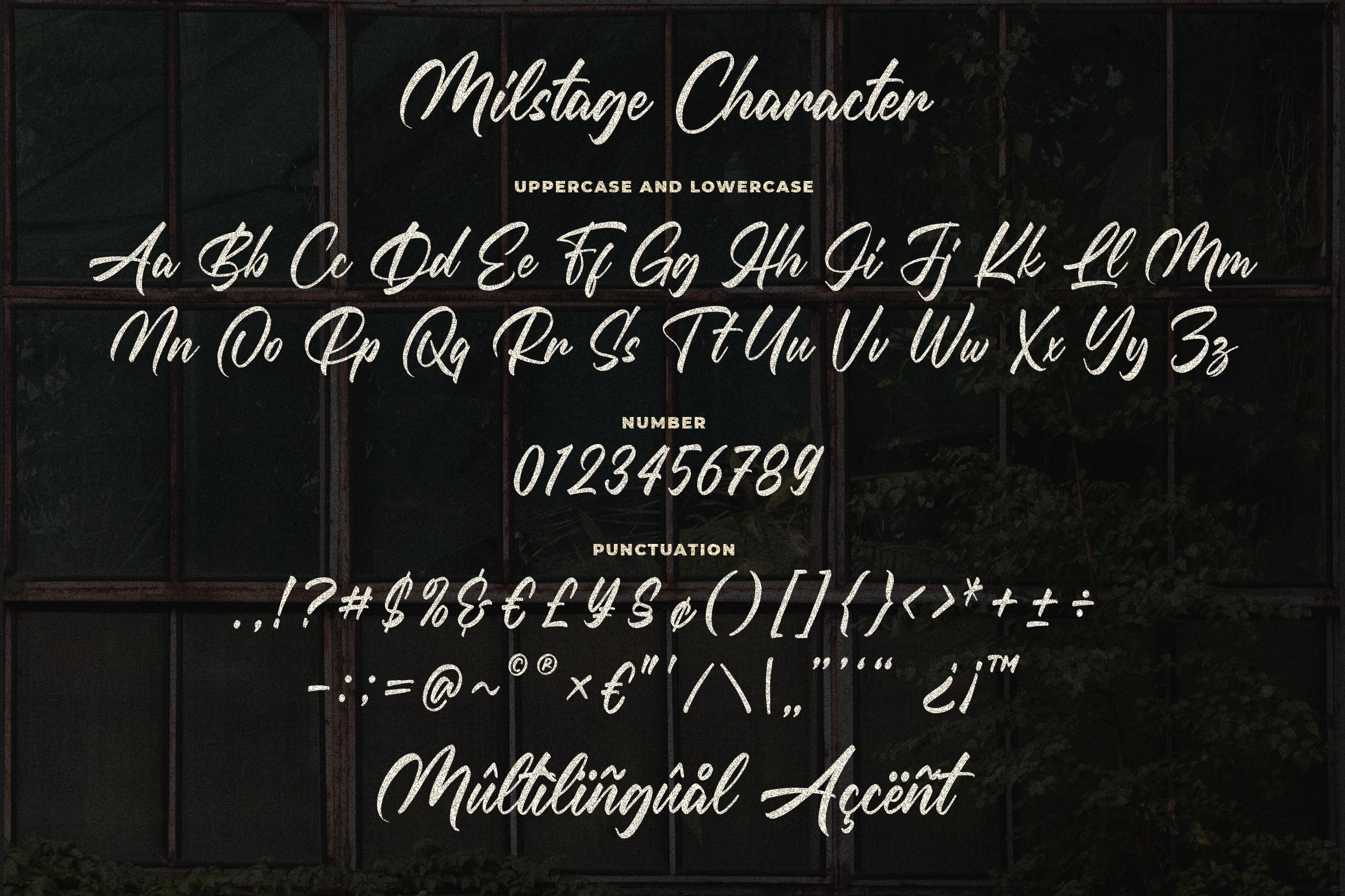 Milstage - Brush Calligraphy Script, Fonts | GraphicRiver