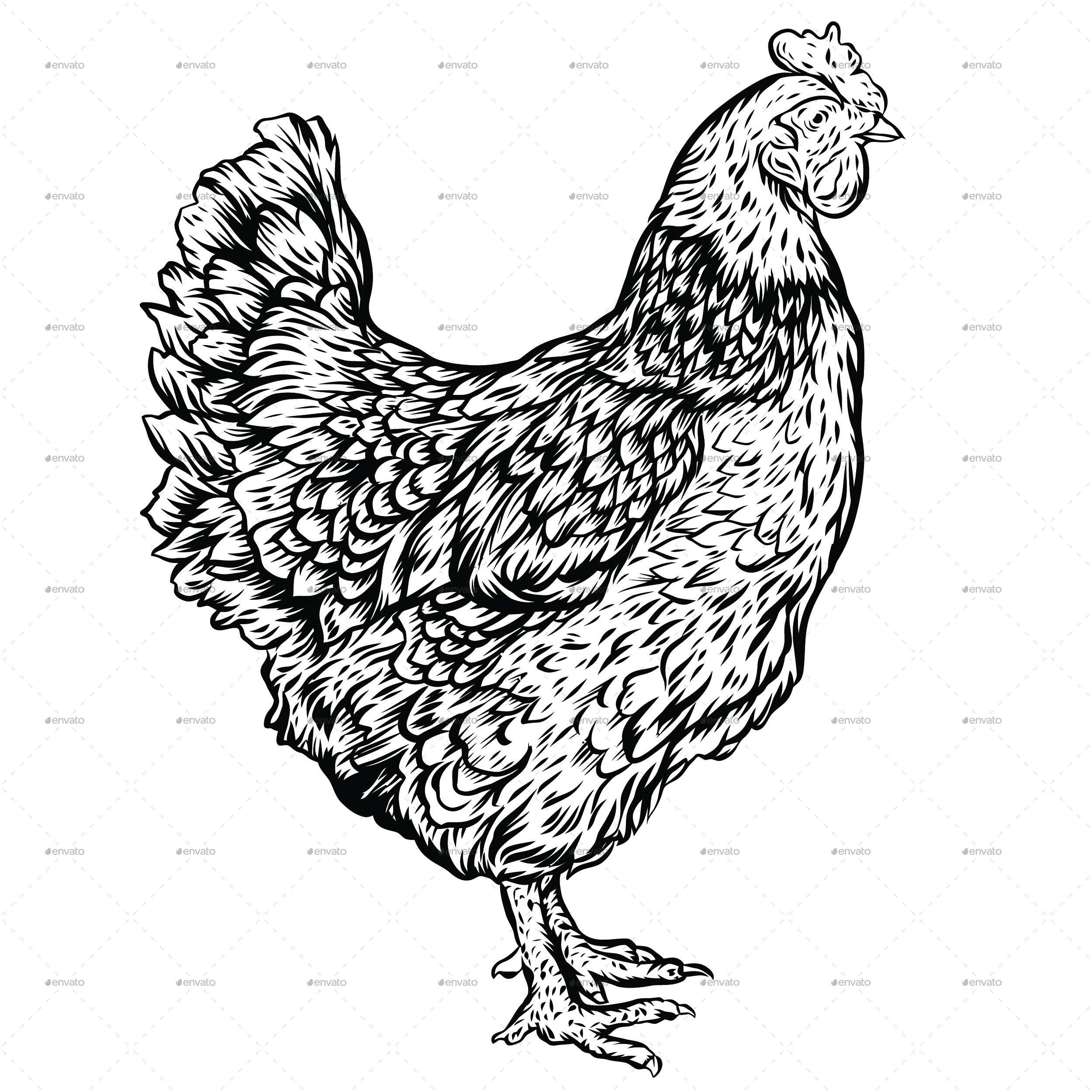 Hen Line Art, Vectors | GraphicRiver