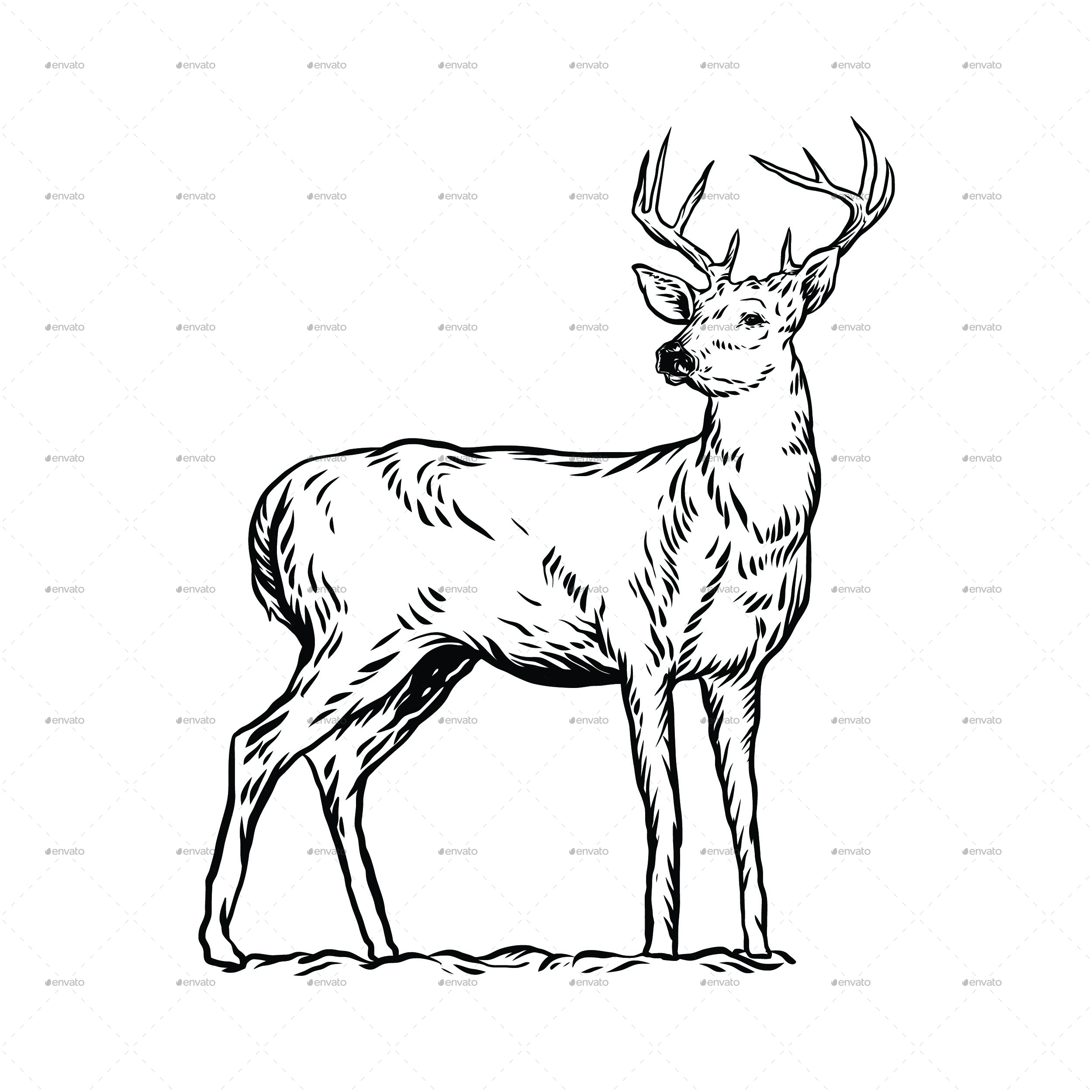 Deer Line Art, Vectors | GraphicRiver