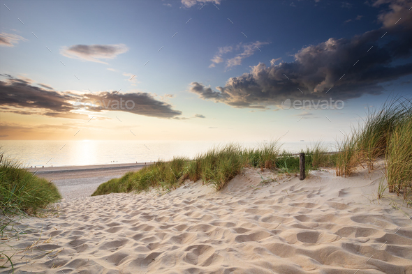sand path to sea beach at sunset Stock Photo by catolla | PhotoDune