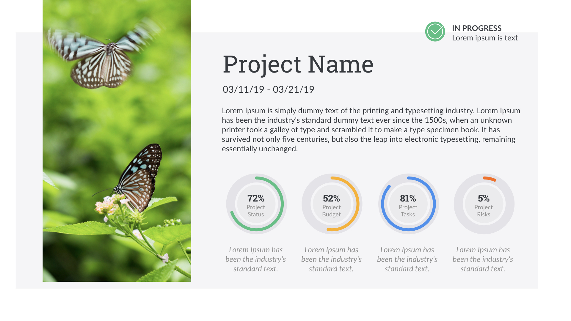 Project Status Keynote Presentation Template by SanaNik | GraphicRiver