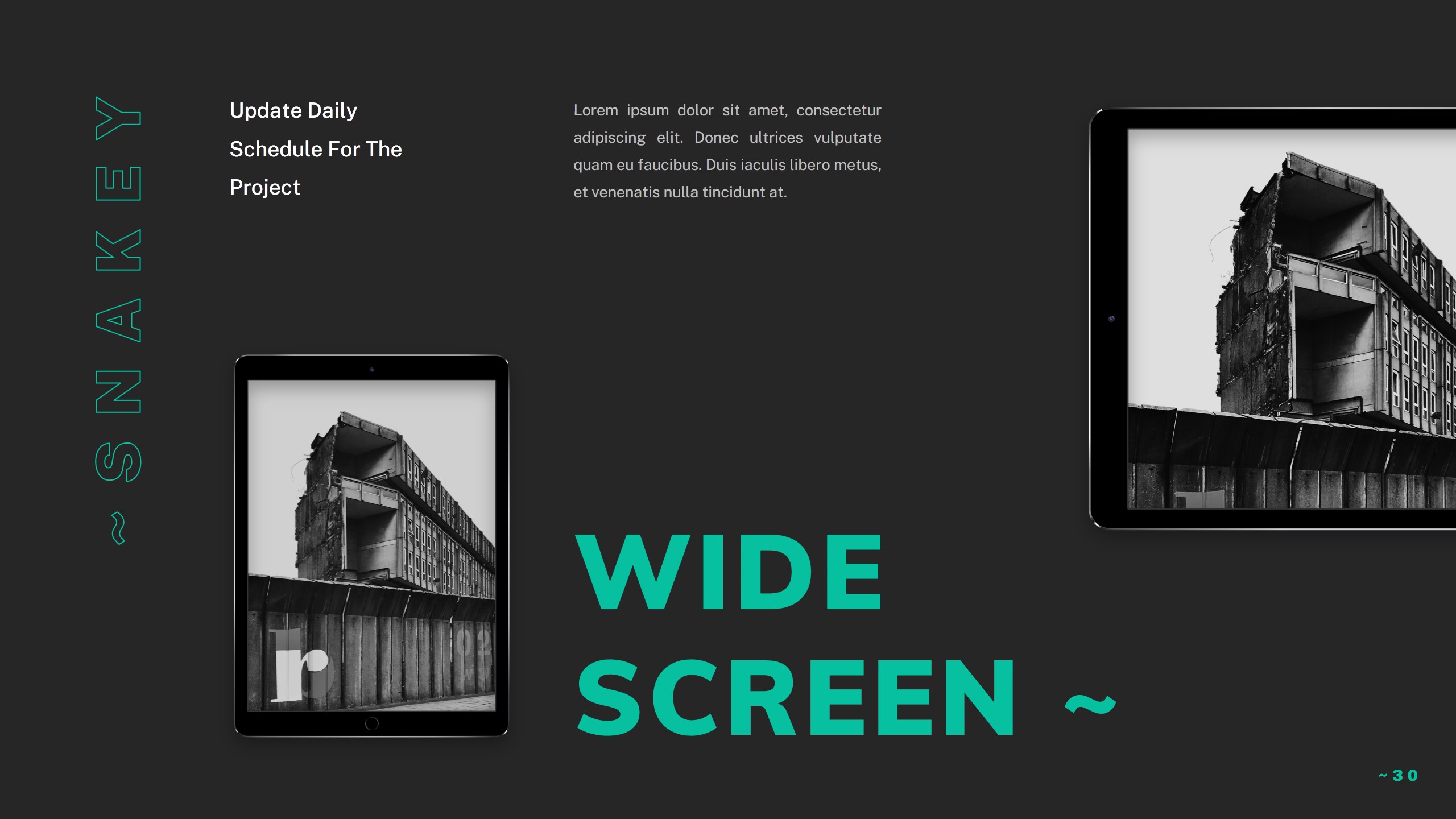 Snakey Google Slides, Presentation Templates | GraphicRiver