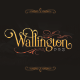 Wallington Pro, Fonts | GraphicRiver