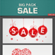 Big Pack Sale, Vectors | GraphicRiver
