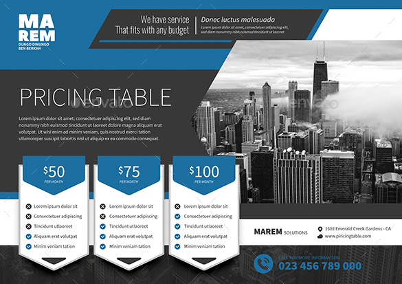 Pricing Table Flyer, Print Templates | GraphicRiver