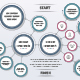 Mind Map Template, Infographics | GraphicRiver