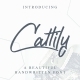 Cattily Calligraphy Font, Fonts | GraphicRiver