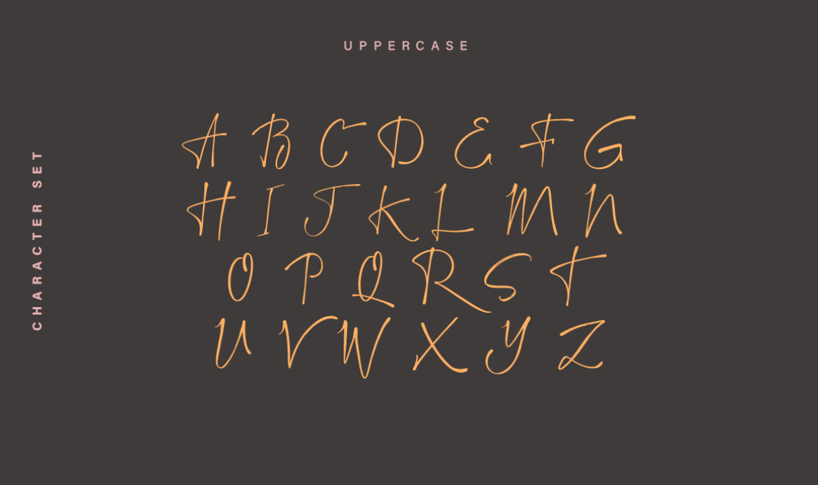 Taurean Font, Fonts | GraphicRiver