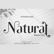 Natural, Fonts | GraphicRiver