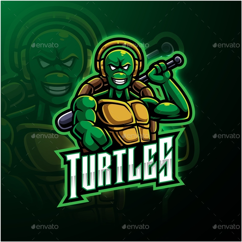 Turtle Mascot, Vectors | GraphicRiver